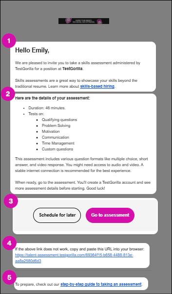 Step-by-step guide to taking your assessment – TestGorilla Candidates